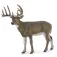 Collecta Cola Deer Figure Golden | Kidinn